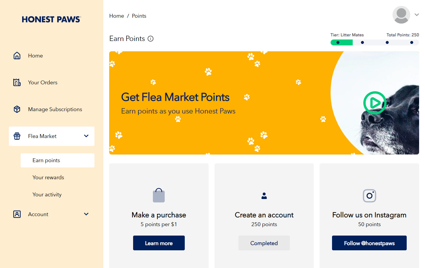 Honest Paws - Absolute Web